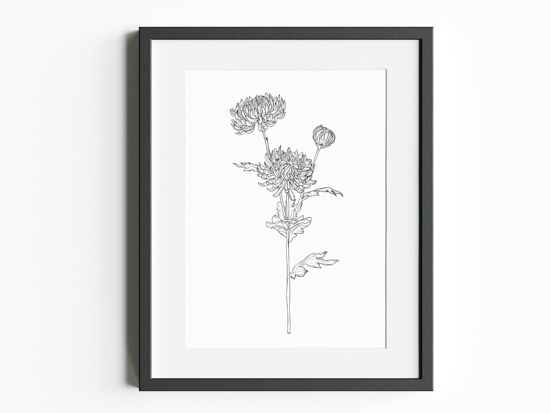 November Birth Month Flower (chrysanthemum) – INSTANT DIGITAL DOWNLOAD ...
