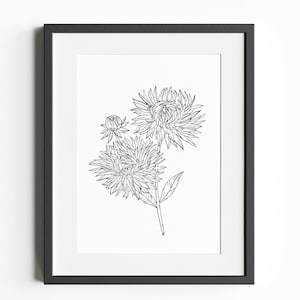 September Birth Month Flower (aster) – INSTANT DIGITAL DOWNLOAD, Birth ...