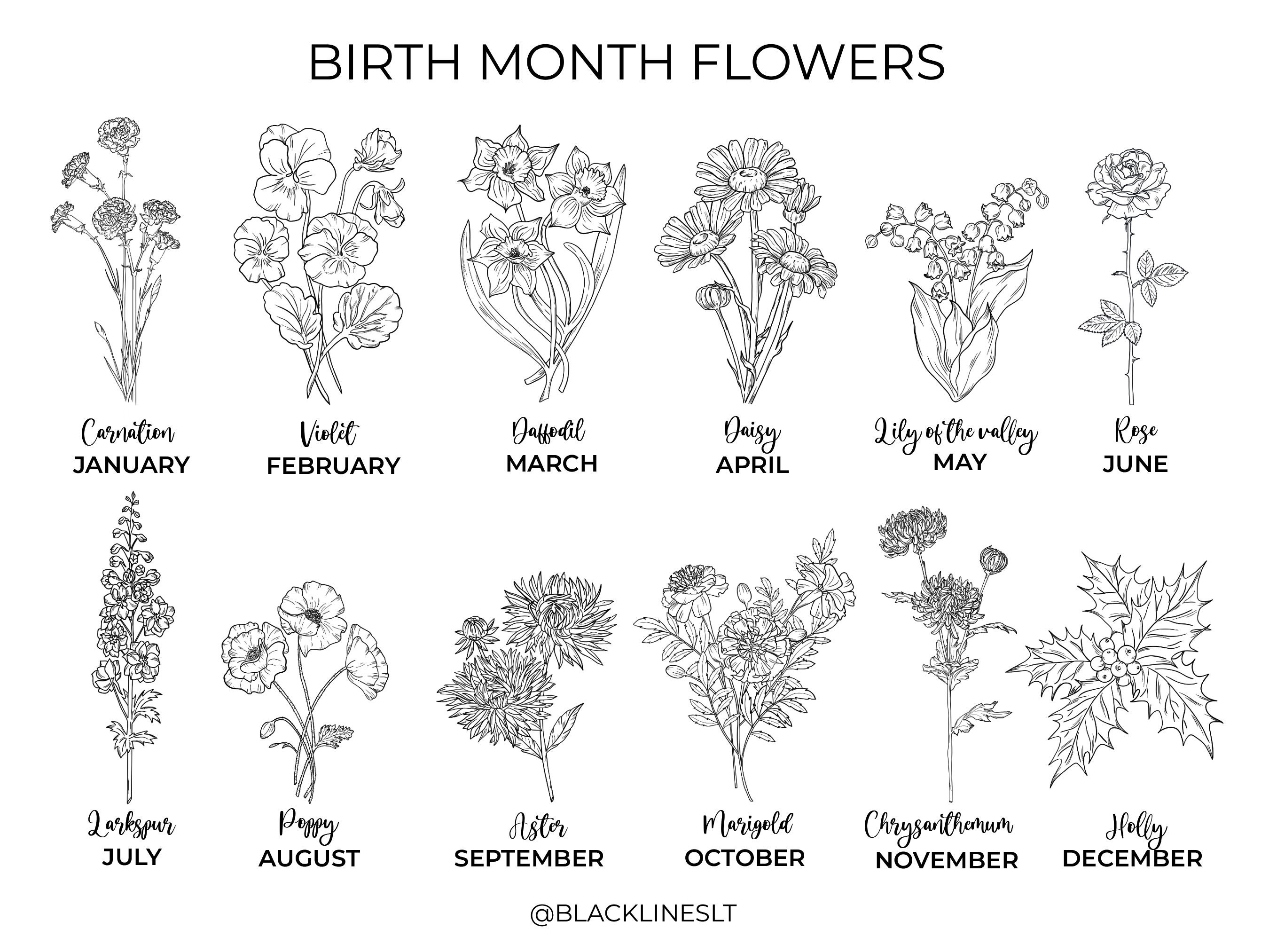 August Birth Month Flower (poppy) – INSTANT DIGITAL DOWNLOAD, Birth ...