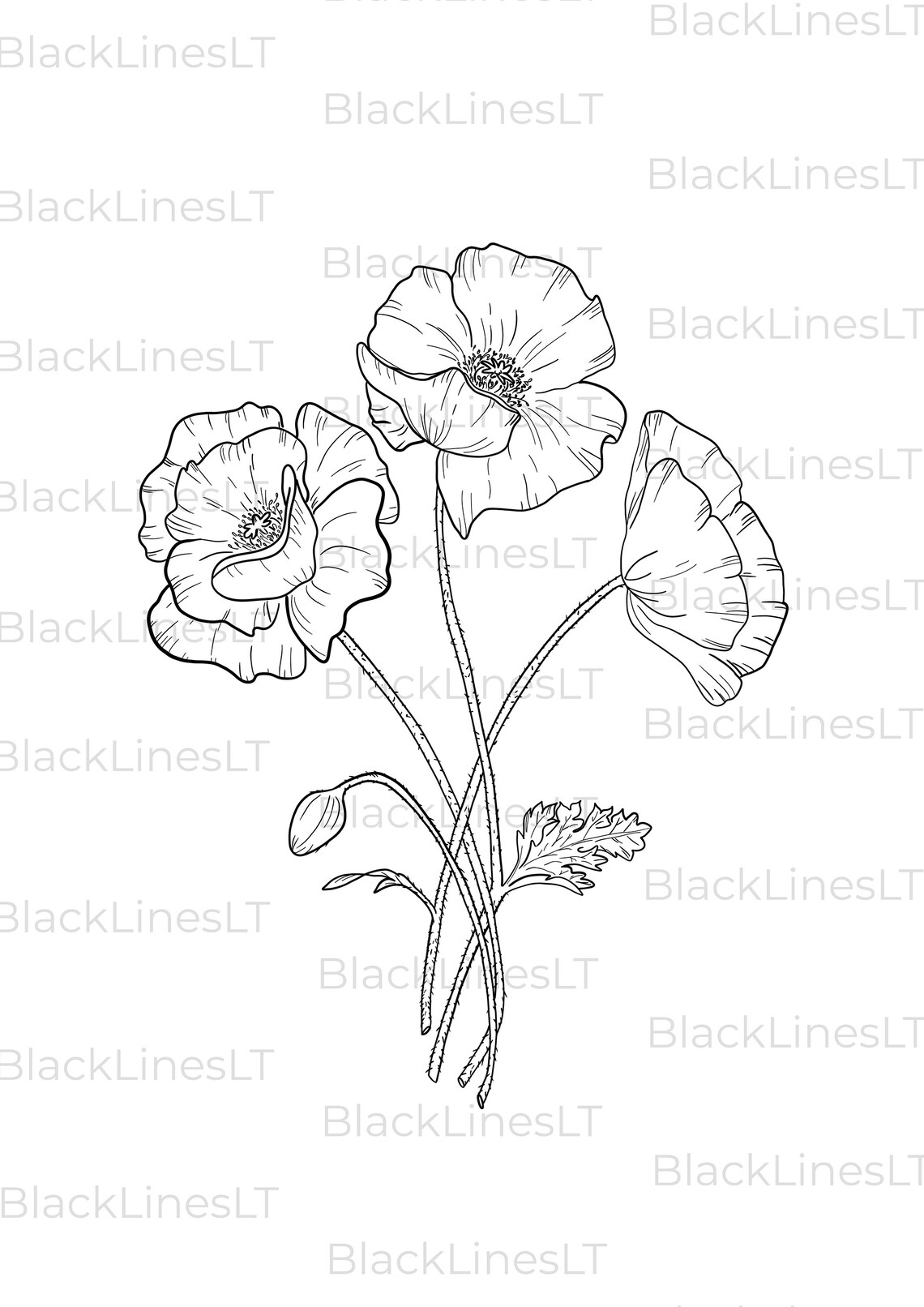 August Birth Month Flower (poppy) – INSTANT DIGITAL DOWNLOAD, Birth ...