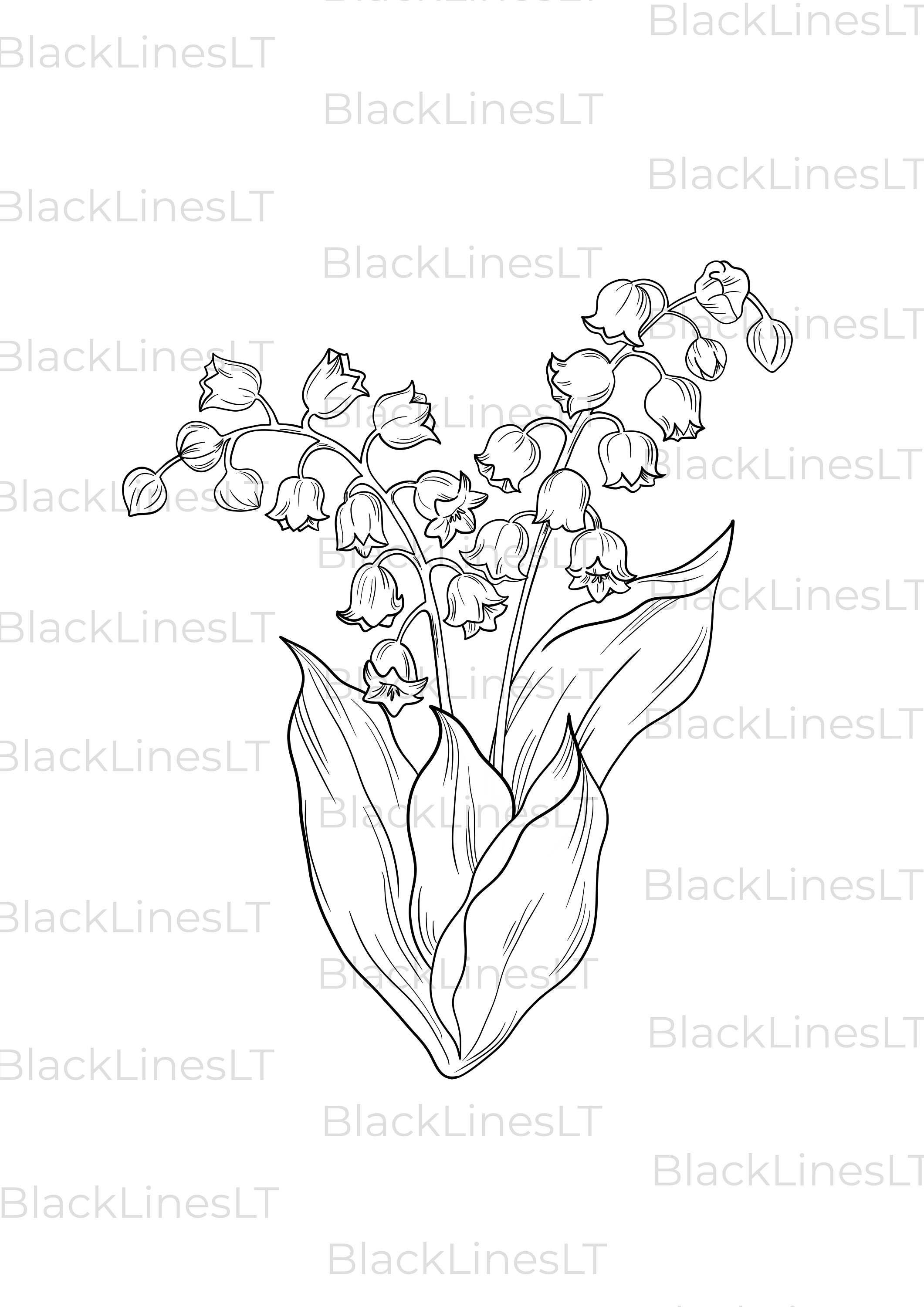 May Birth Month Flower (lily of the Valley) – INSTANT DIGITAL DOWNLOAD ...