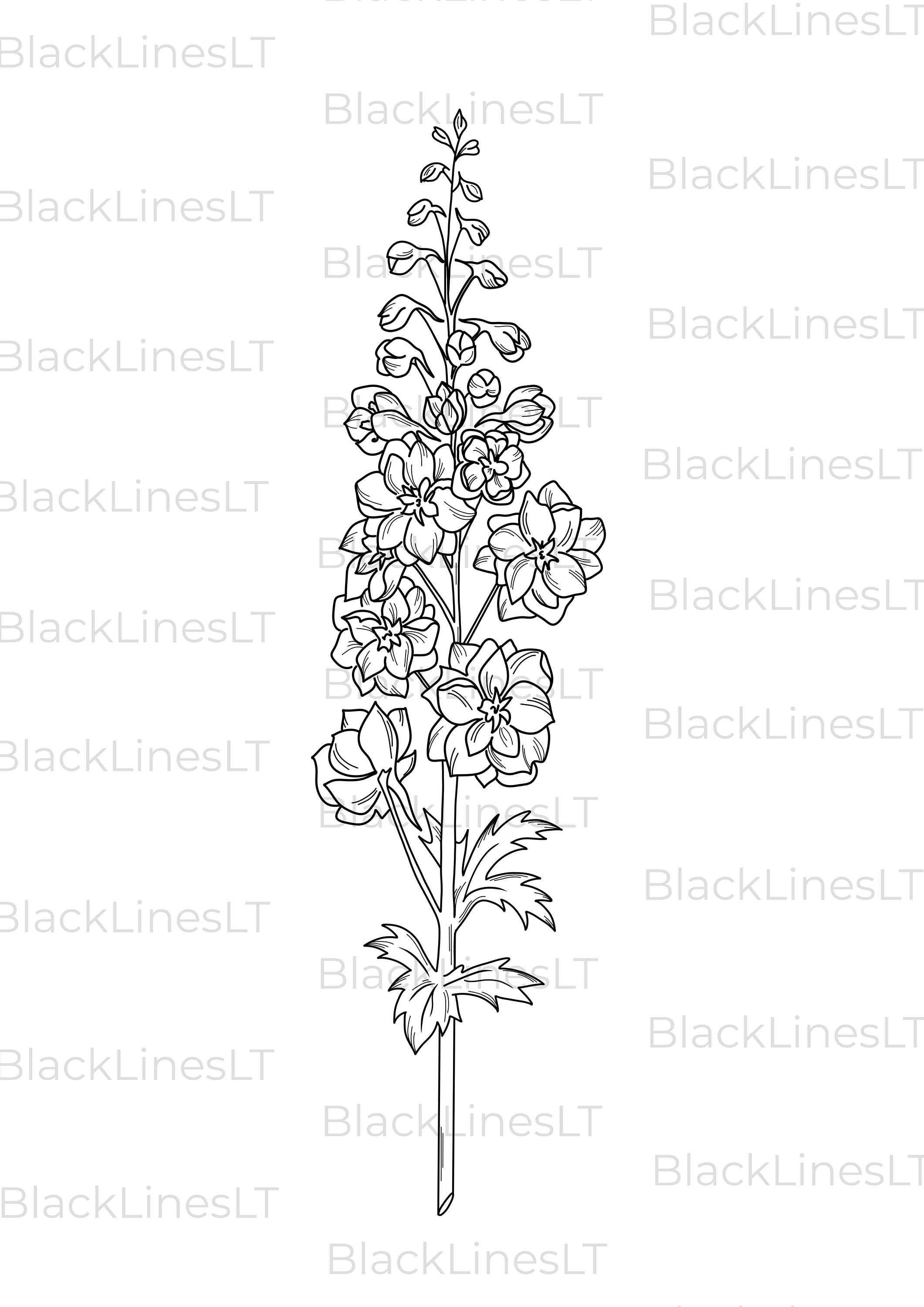 July Birth Month Flower larkspur INSTANT DIGITAL DOWNLOAD, Birth Flower ...