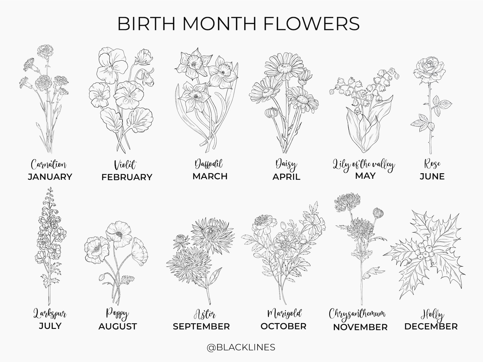 June Birth Month Flower rose INSTANT DIGITAL DOWNLOAD - Etsy