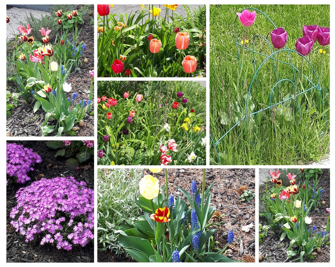 Spring Flowers Collage Set of 5- Instant Download - Etsy