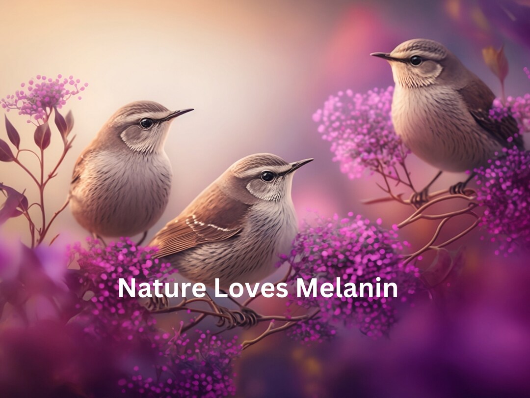 Purple Birds Digital Background for Photo Shoot, Overlay for ...