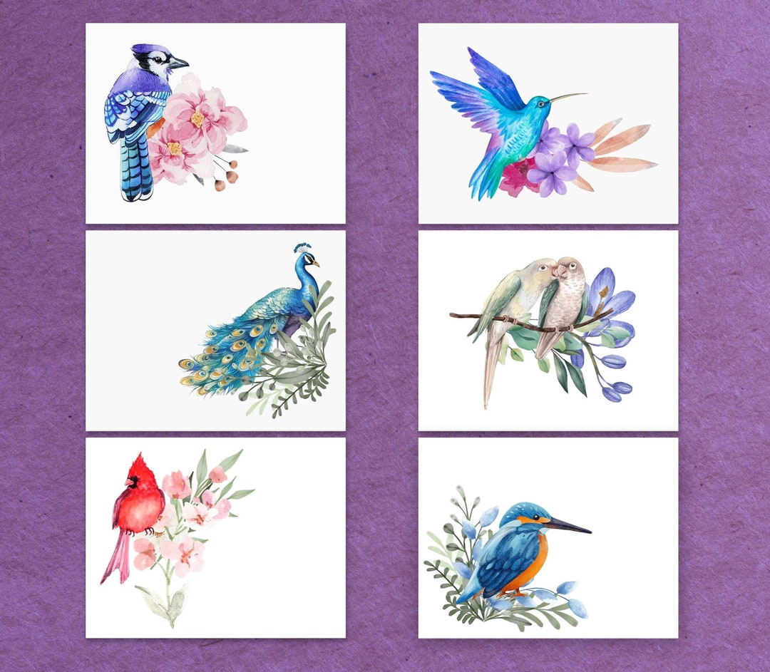 Watercolor Bird Notecards Kraft Envelopes Window Box Floral Blue Jay ...