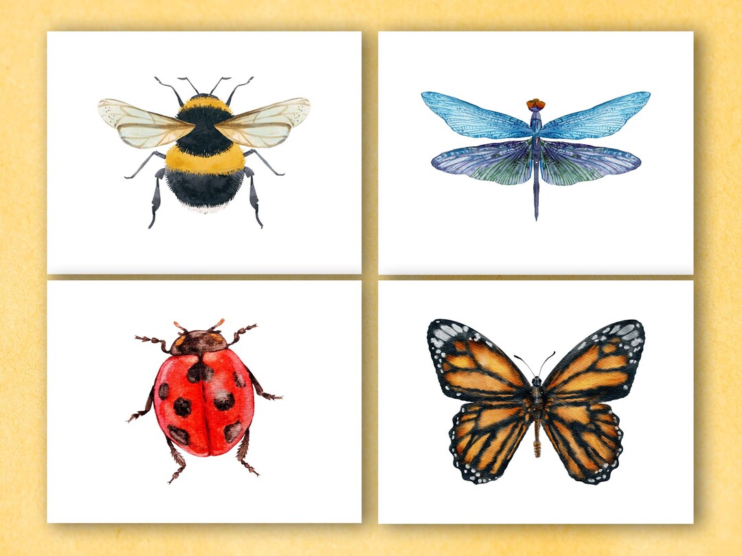 8 Ct. Watercolor Insect Notecards 4.25"x5.5" Monarch Bee Ladybug ...