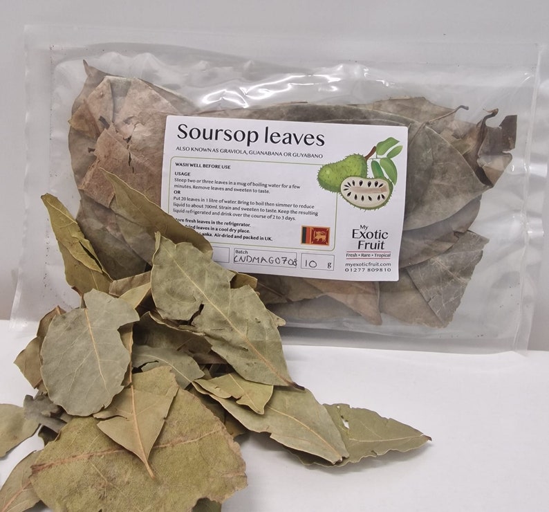 Soursop Leaves (graviola Guanabana or Guyabano) 10g - Etsy