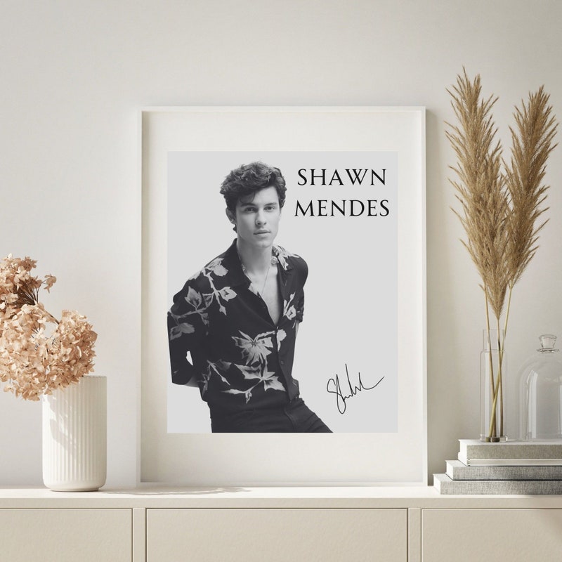 Shawn Mendes - Etsy