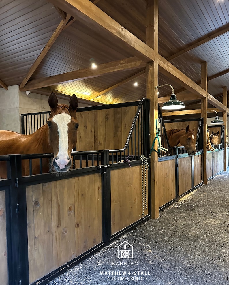 Matthew Plan Series - 4 Stall Horse Stable Plan Layout - Etsy