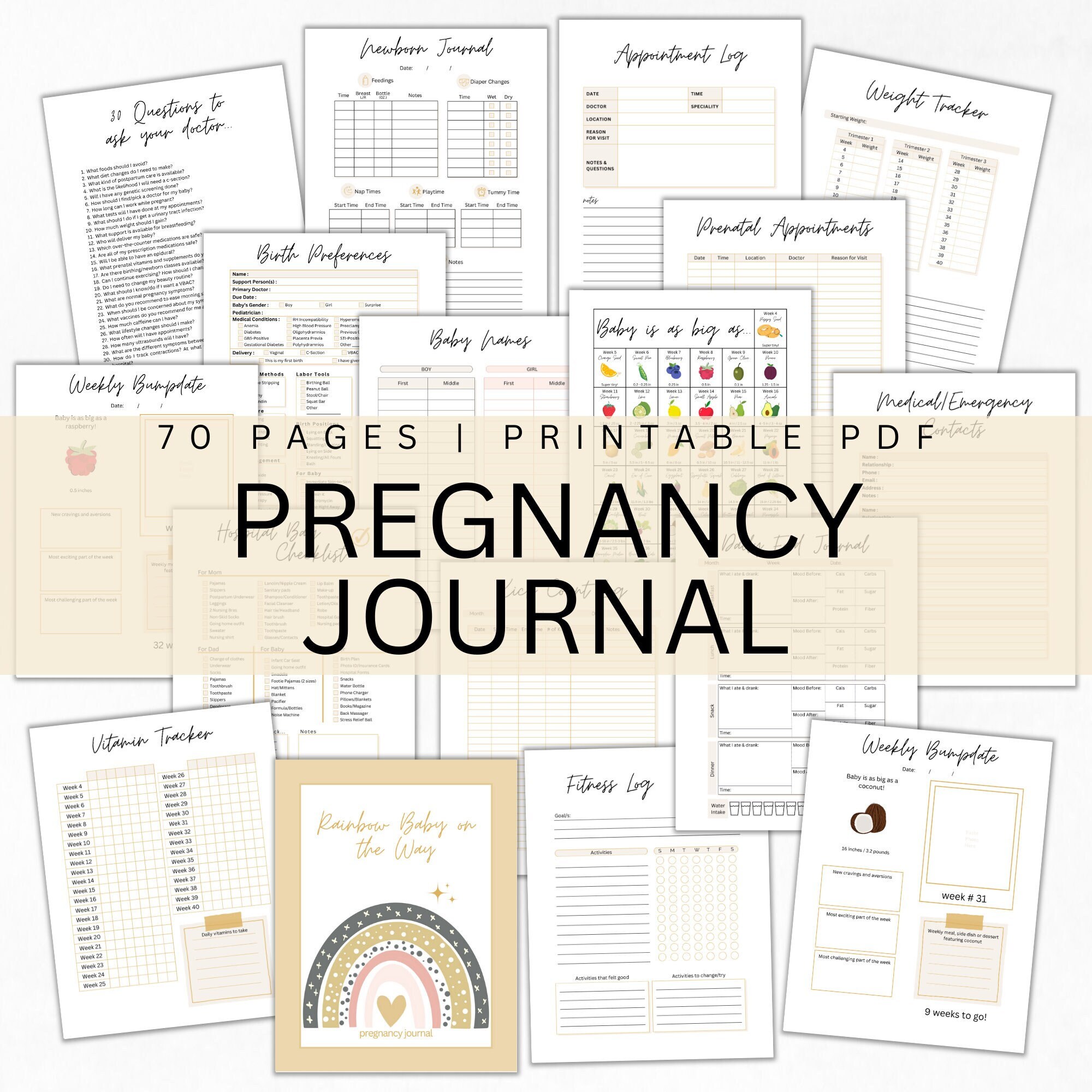 Rainbow Baby Pregnancy Journal, Appointment Log, Pregnancy Milestones ...