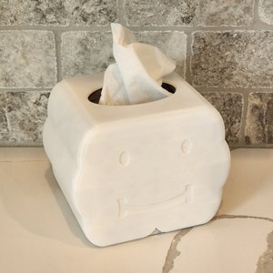Gamer Themed Tissue Box & Toilet Paper Cover Warp Pipe Holder Question ...