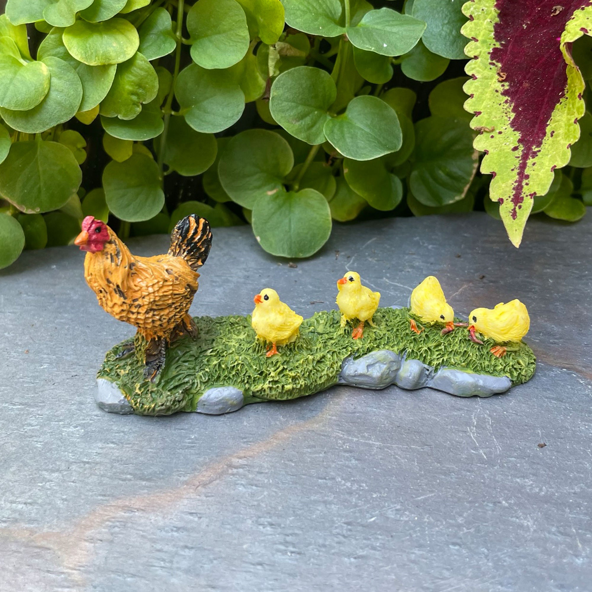 Fairy Garden Hen and Chicks, Miniature Garden Chicks, Dollhouse Hen ...