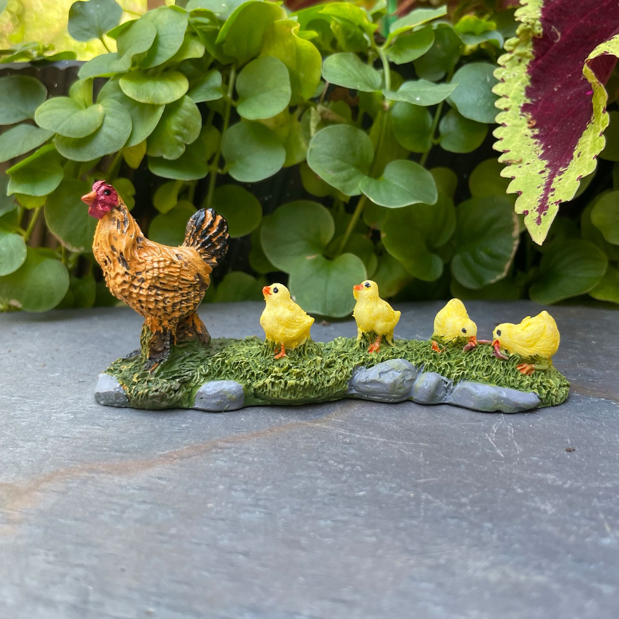 Fairy Garden Hen and Chicks, Miniature Garden Chicks, Dollhouse Hen ...