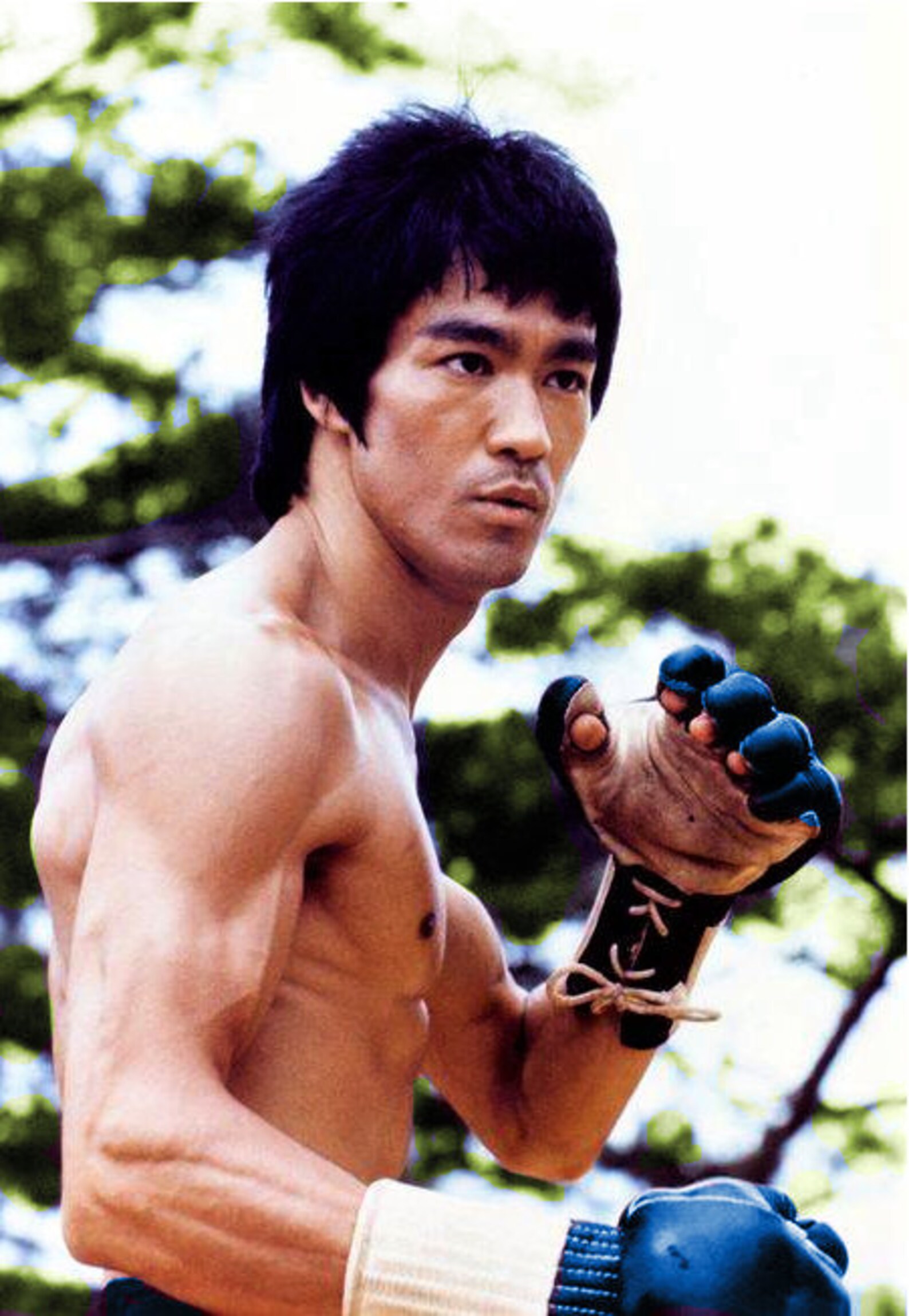 Fridge / Tool Box / Locker Magnet Bruce Lee - Etsy