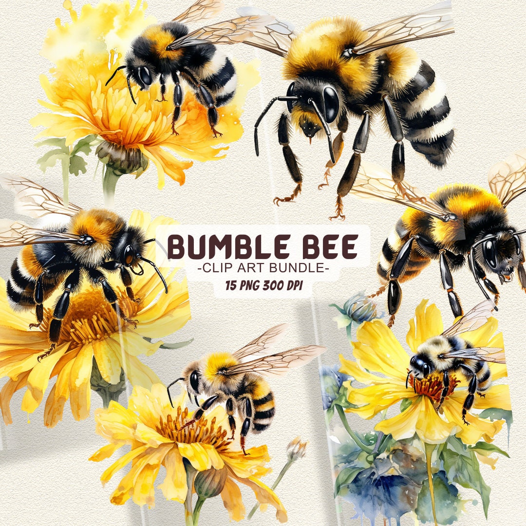BUMBLEBEE CLIPARTS 15 PNG Bundle Scrapbook Invitations Junk Journal ...