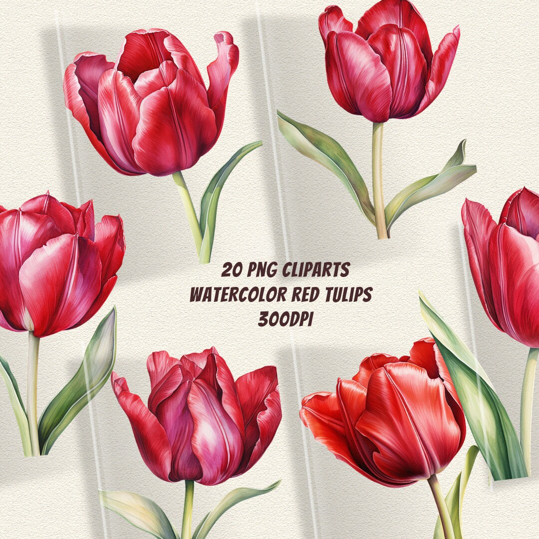 RED TULIPS Cliparts 20 PNG 300 Dpi Scrapbook Invitations Junk - Etsy
