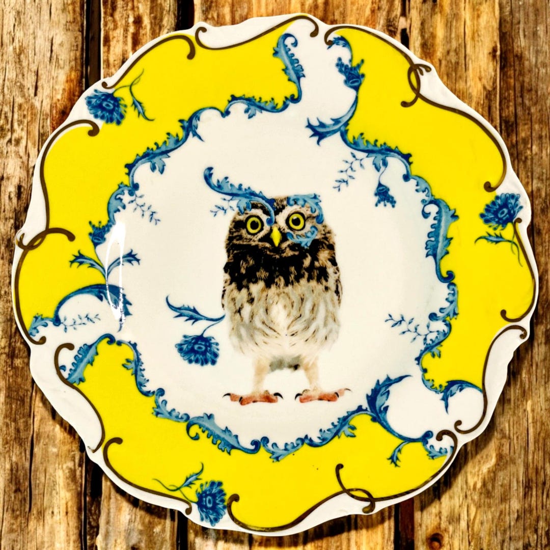 Anthropologie X Lou Rota Nature Table Owl Dessert Plate 9.5 READ - Etsy