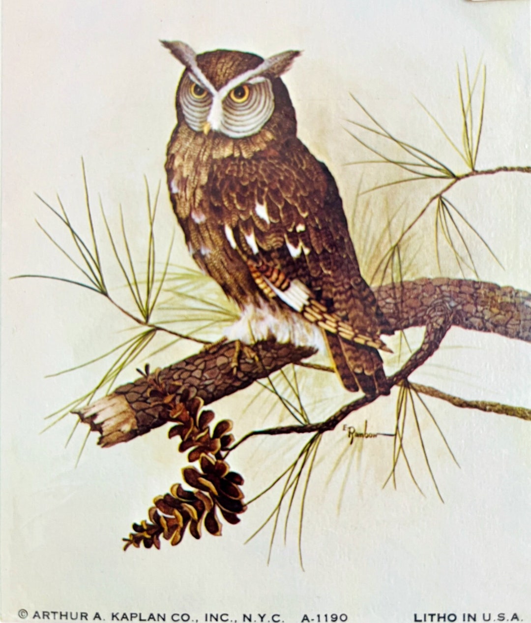 Vintage Owl Art Print #A-1190 by E. Rambow | Arthur A Kaplan Litho ...