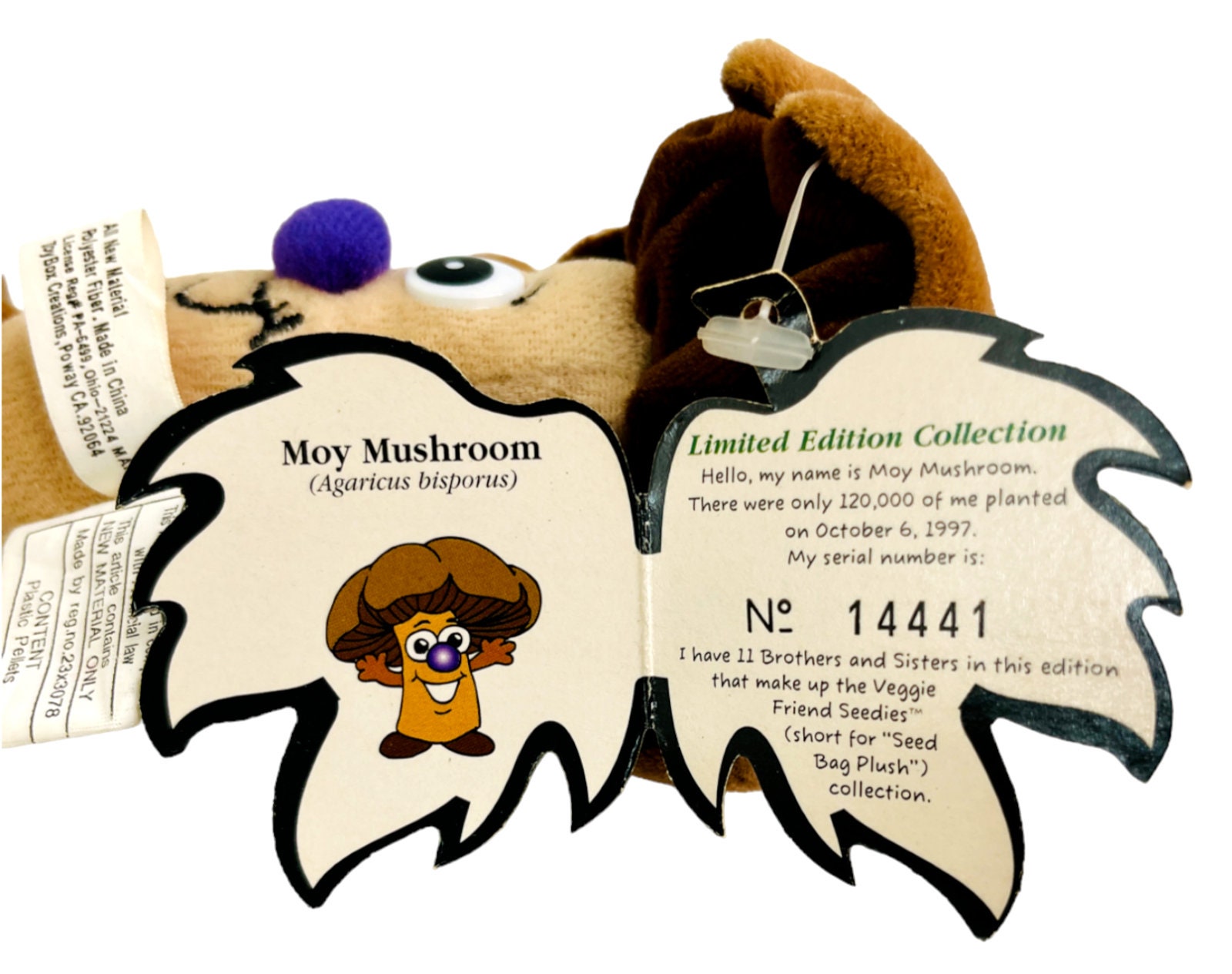 Vintage 1997 Veggie Friend Seedies Moy Mushroom 6 Plush - Etsy
