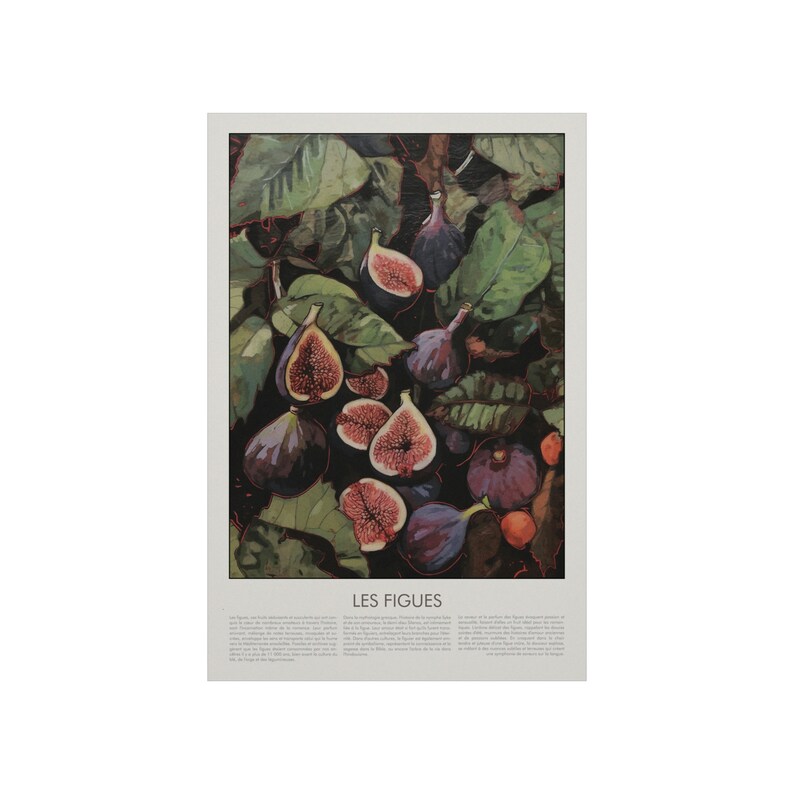 Timeless Figs Vintage-inspired Botanical Fig Poster - Etsy