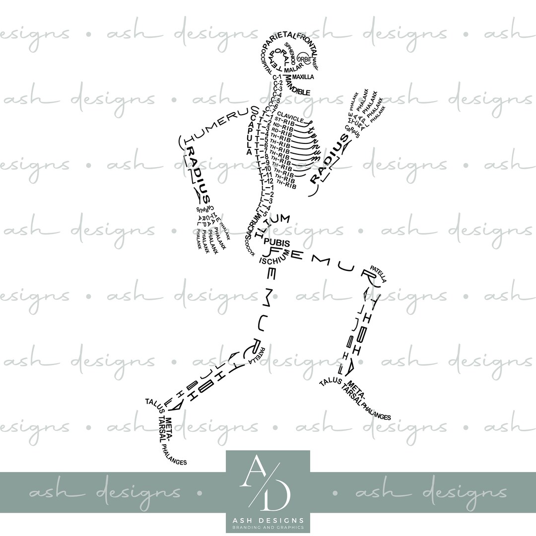 Skeleton With Names of Bones - Digital Download (svg - Eps - Png - Jpg ...