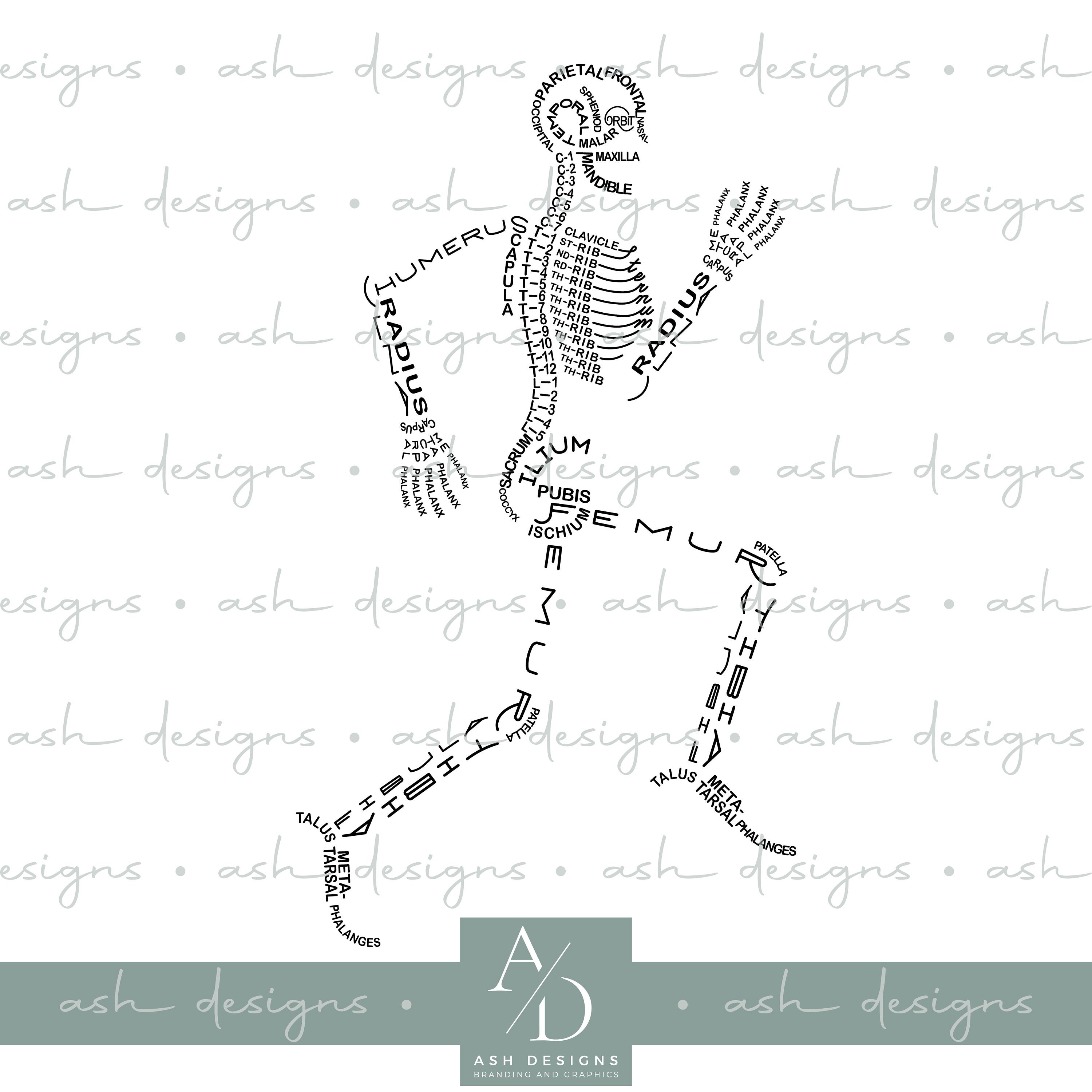 Skeleton With Names of Bones - Digital Download (svg - Eps - Png - Jpg ...