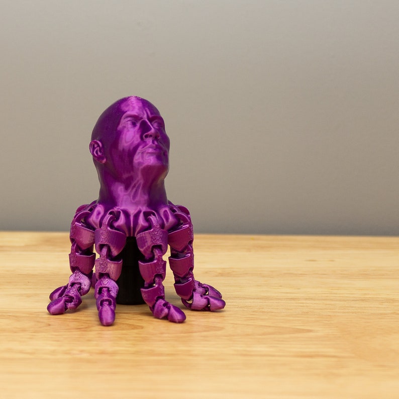 Rocktopus Fidget Toy, Dwayne Johnson Octopus Flexi Toy, Fidget Toy ...