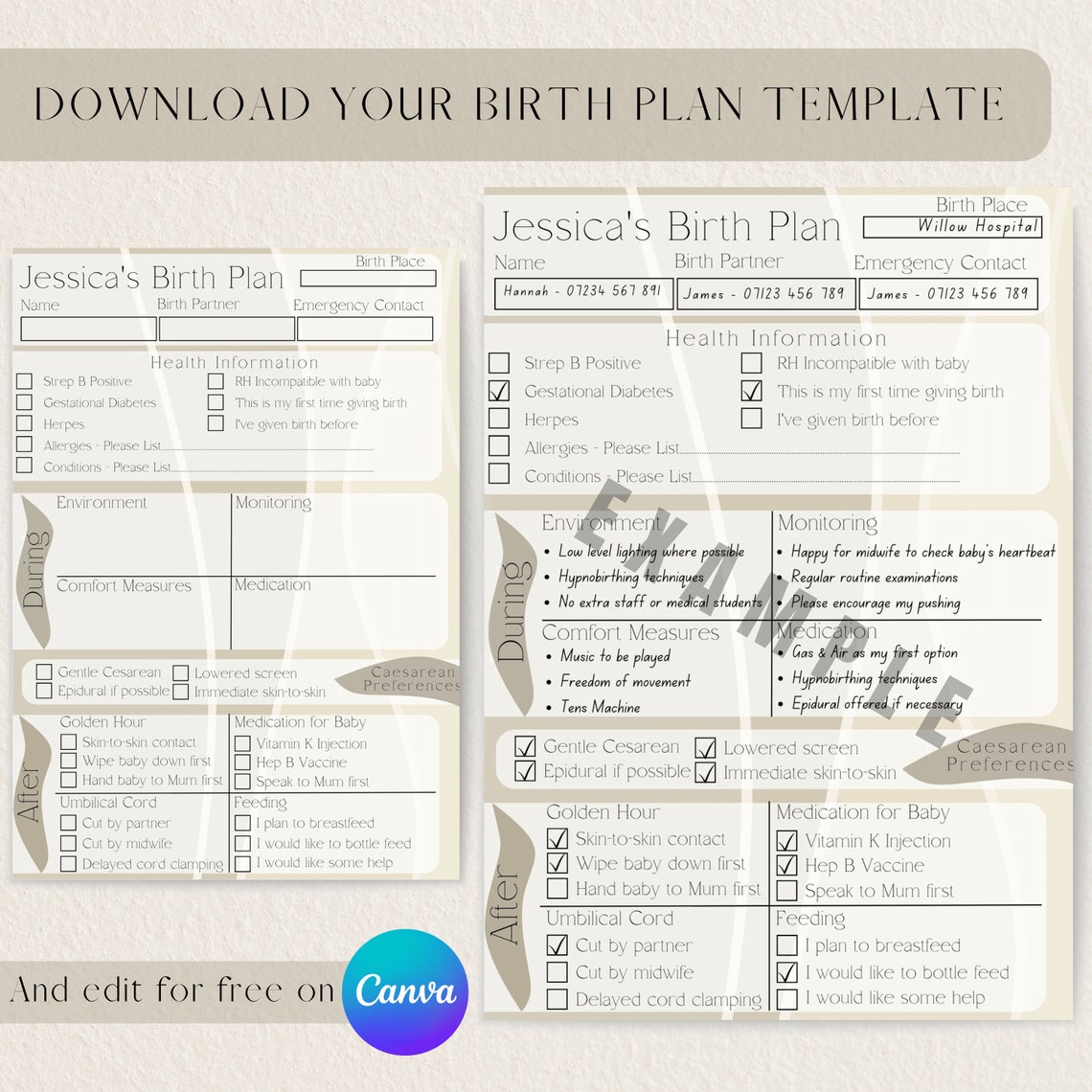 Plantilla de plan de parto, plantilla de plan de parto editable, plan ...