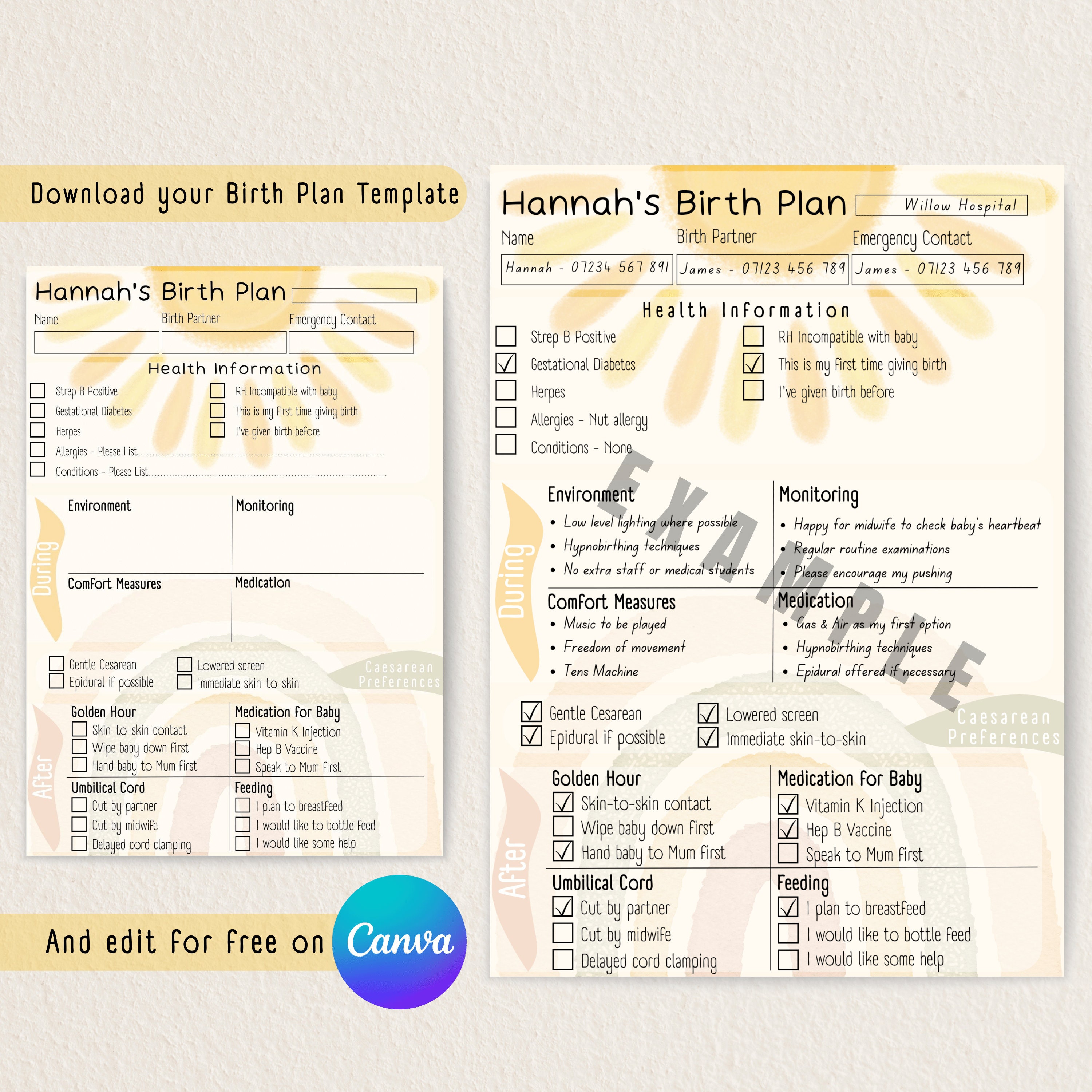 Plantilla de plan de parto, plantilla de plan de parto editable, plan ...