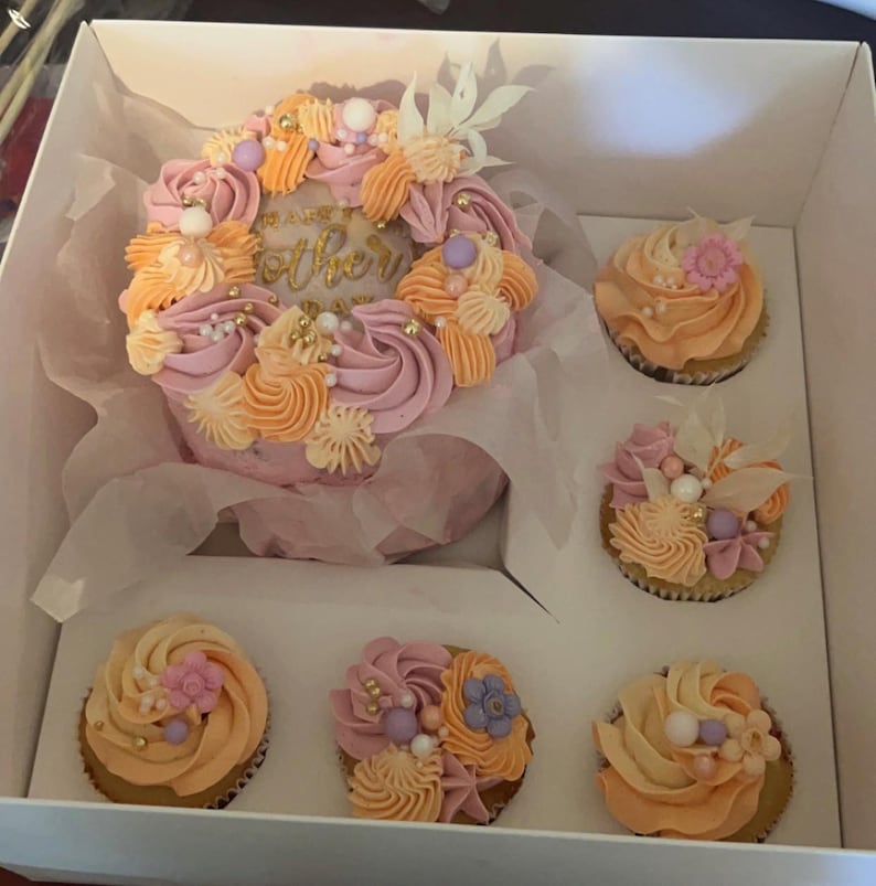 Bento Cake Box 5 Cupcake Insert 5 Cake Space With Clear Lid 10in X 10in ...