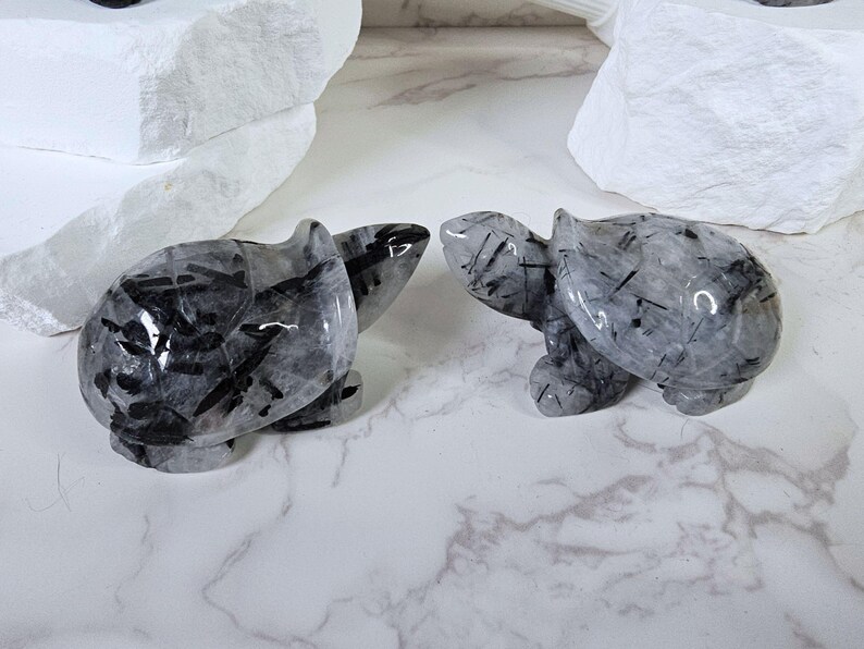 Tourmaline in Quartz Turtle Carving: Crystal Animal Decor - Etsy