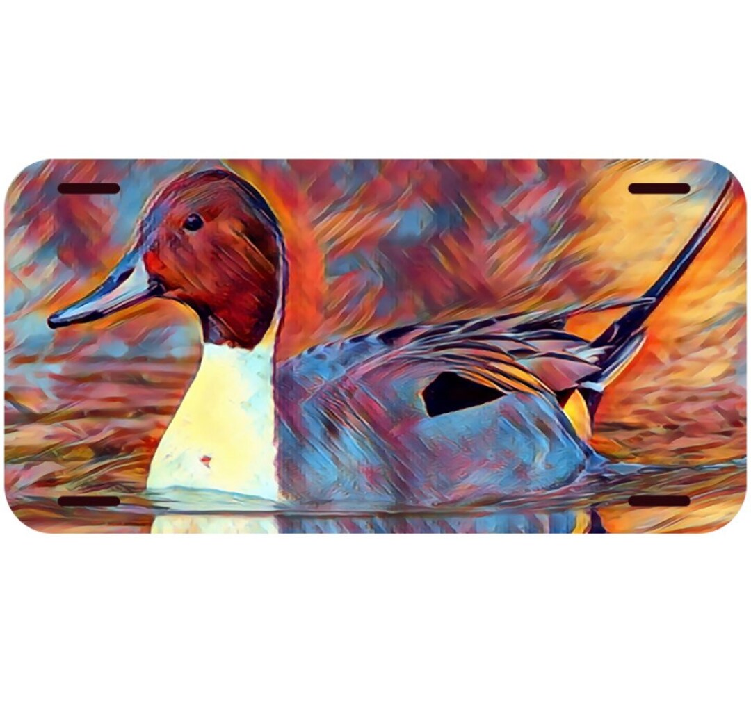 Pintail Duck License Plate, Waterfowl Car Tags,pintail Duck License ...