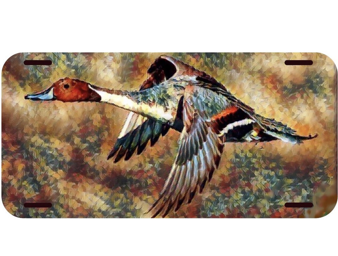 Pintail Duck License Plate, Waterfowl Car Tags,pintail Duck License ...