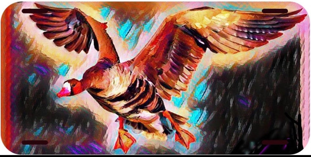 Specklebelly Goose License Plate, Waterfowl, Specklebelly Goose Car ...