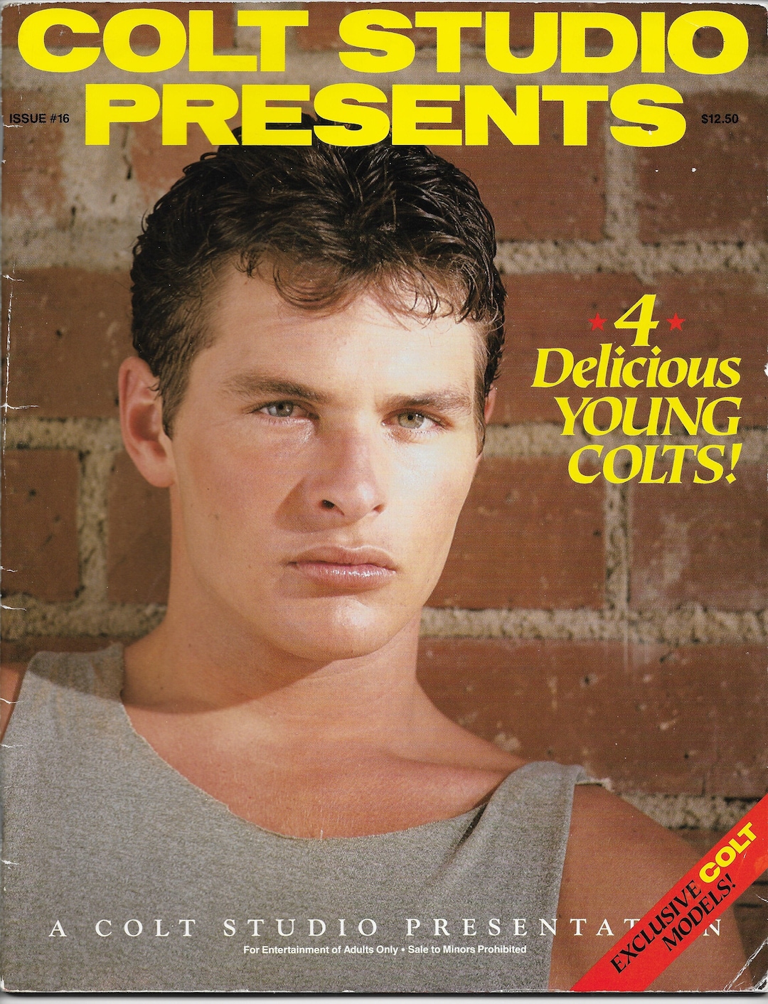 COLT Studio Presents Issue 16 Four Delicious Young Colts - Etsy