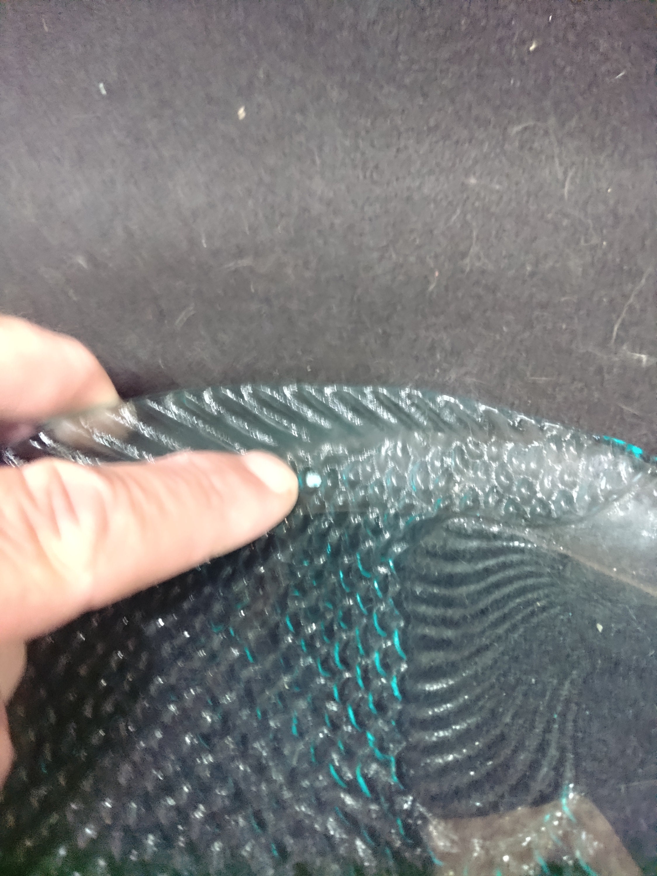 Pair of Aqua Blue Fish Plate Fish Glass Vintage Plate Serving Dish ...