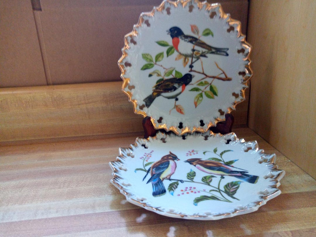 Pair of Betson's China Hand Painted Decorative Plates Bird Motif. - Etsy