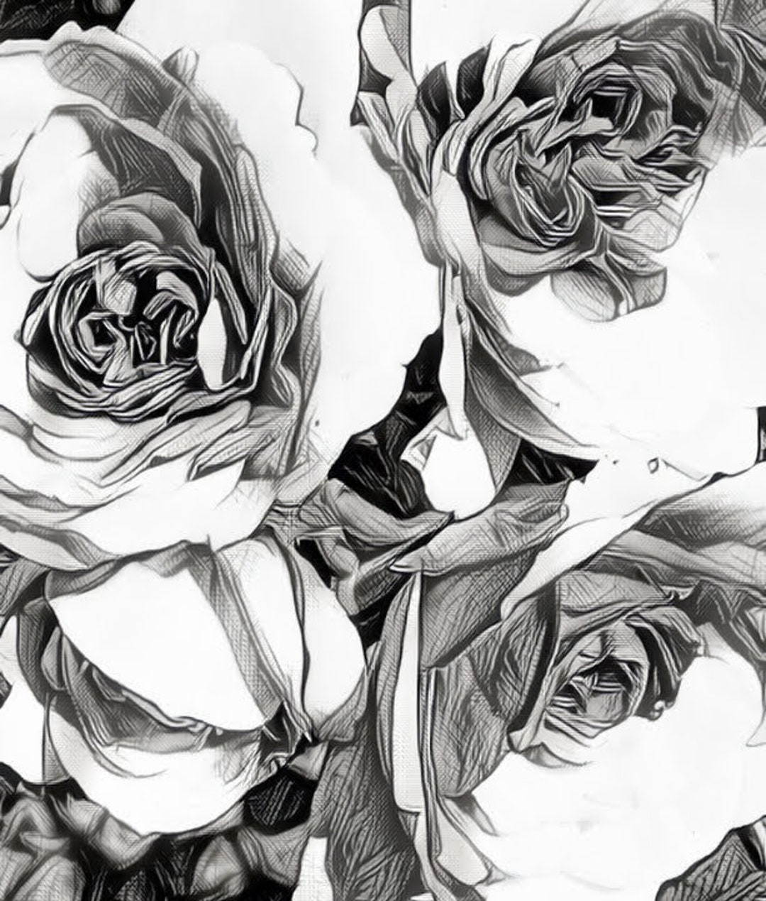 BW Roses Sk - Etsy