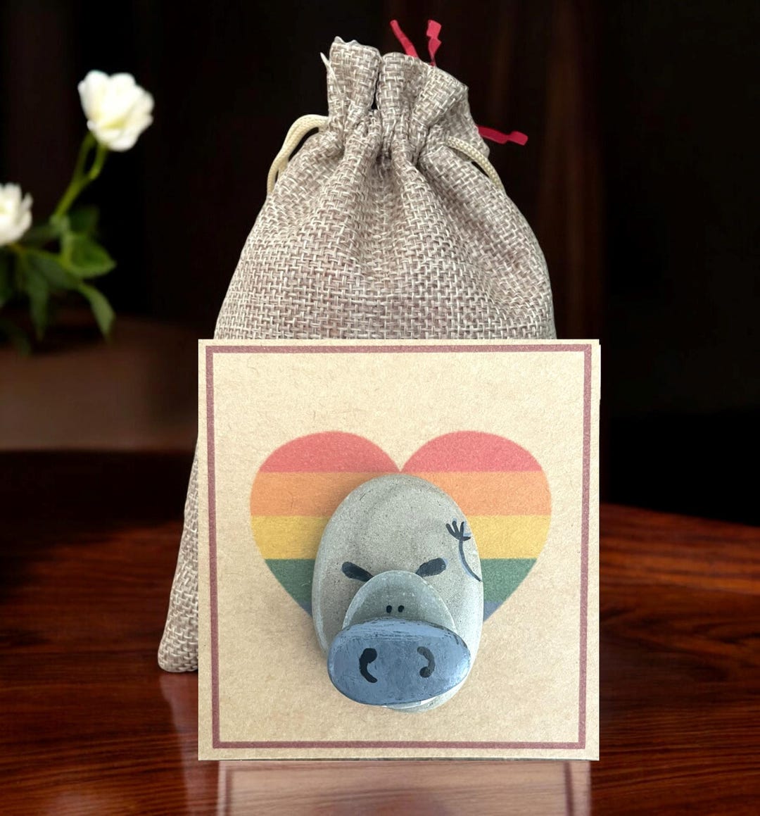 LGBTQ Rainbow Heart Card With Hand Painted Rock Hippo Magnet Includes ...