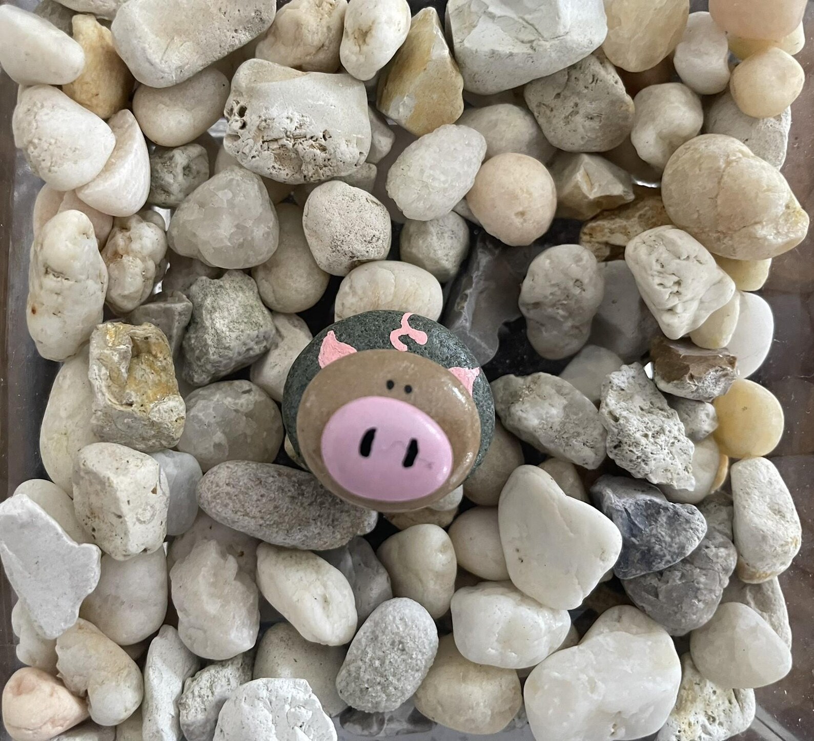 Pig Magnets, Hand Painted Rocks Animals, Piggy Gift, Farmcore Pig ...