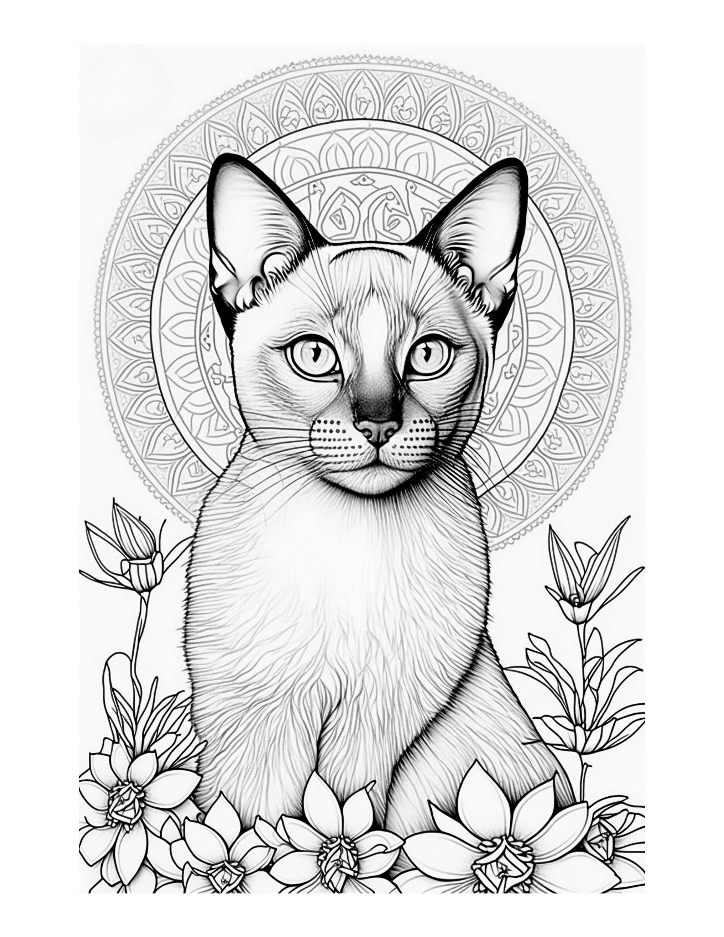 12 Cat Mandala Coloring Pages _ Instant Download_ Grayscale Coloring ...