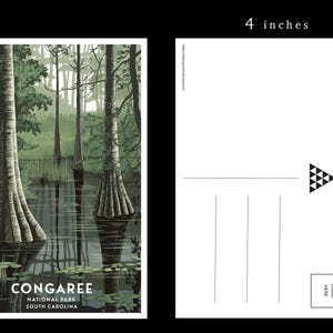 NATIONAL PARK Congaree, South Carolina Ai Generated 300 Dpi Commercial ...