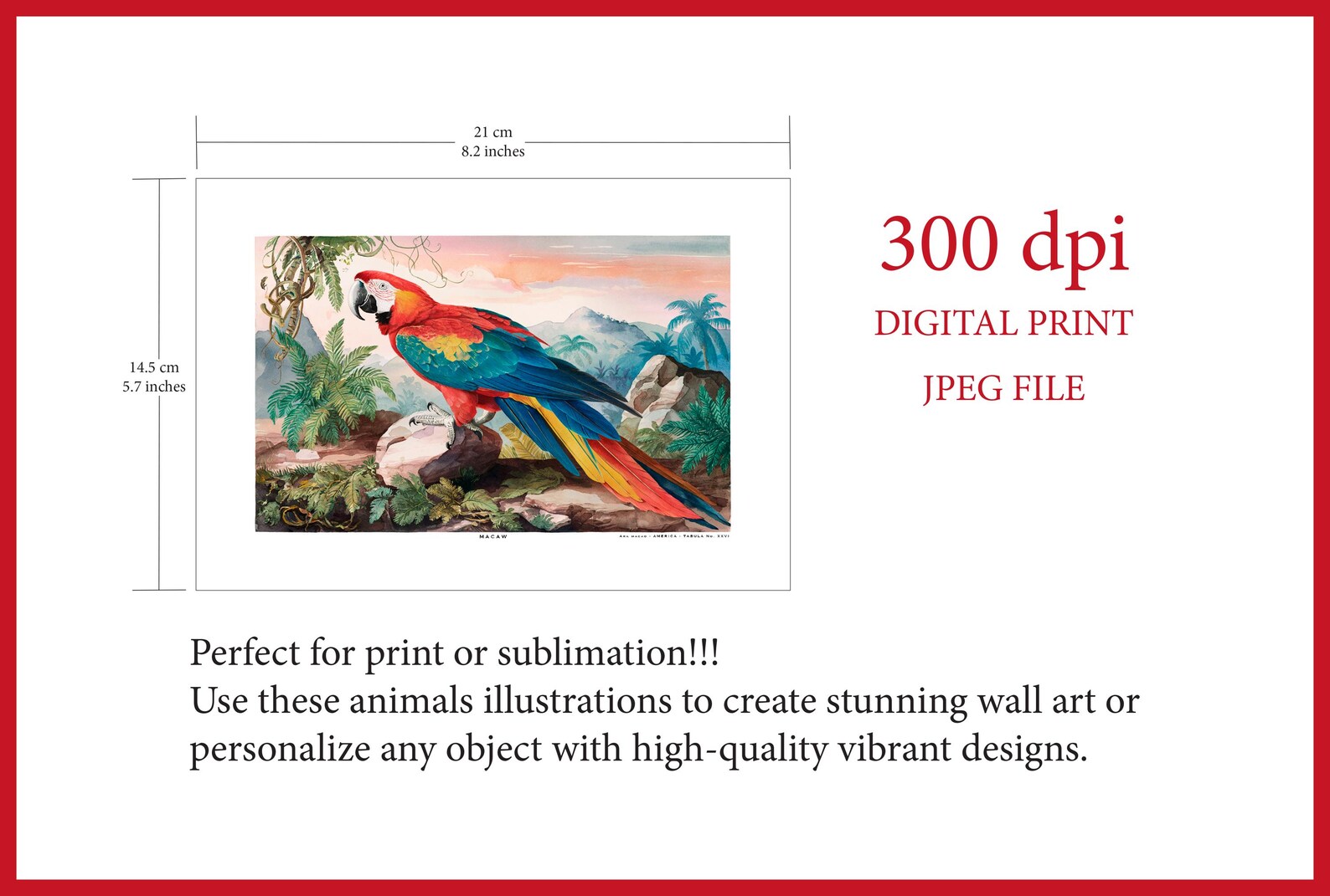 SLOTH · Animal Prints · Illustrated Art · Scientific Names & Origin ...