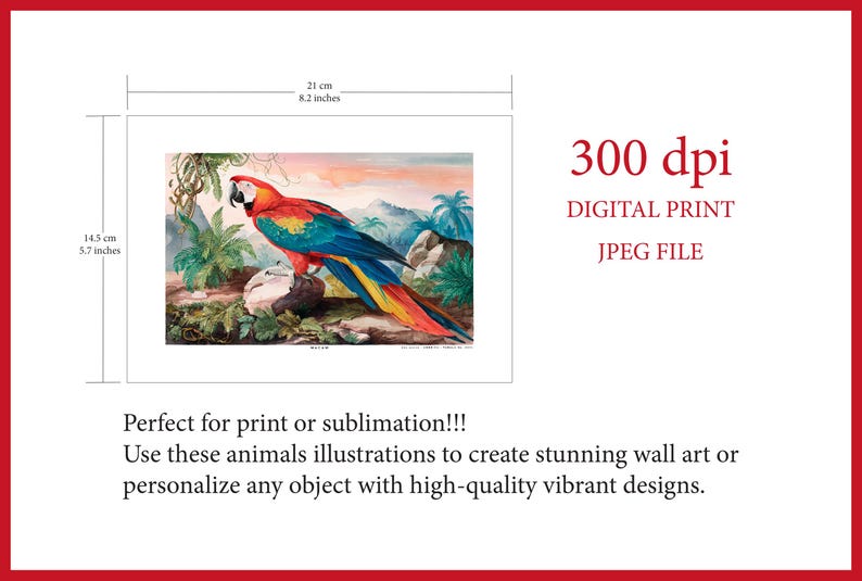 SLOTH · Animal Prints · Illustrated Art · Scientific Names & Origin ...