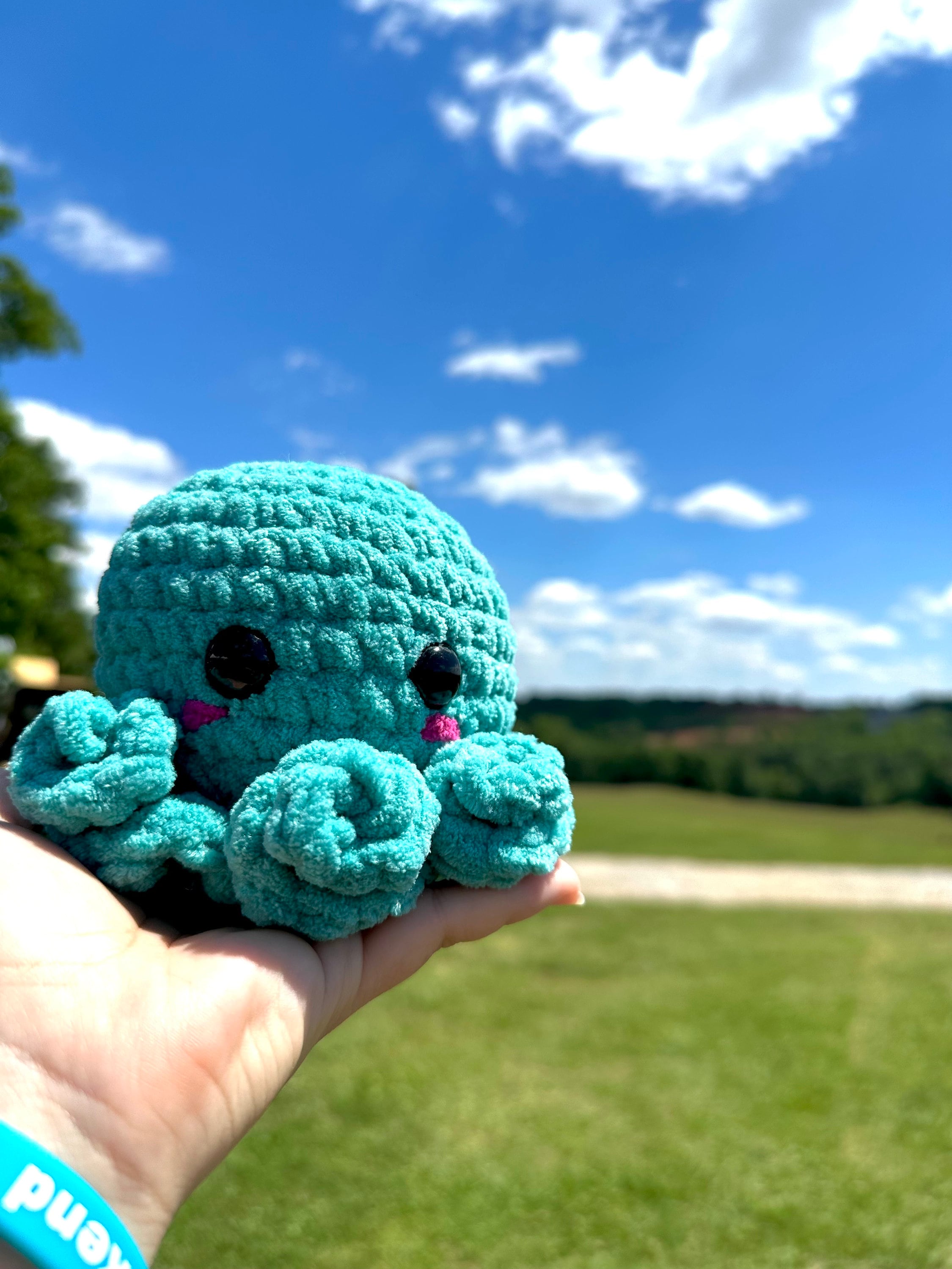 Crochet Octopus Plushie• Sensory Stuffed Animal• Fidget Octo• Physical ...