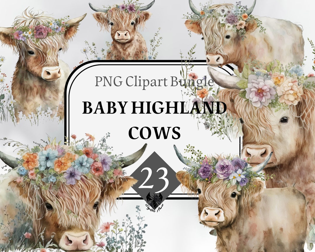 Baby Highland Cows Clipart, Highland Cow Png, Watercolor Clipart ...