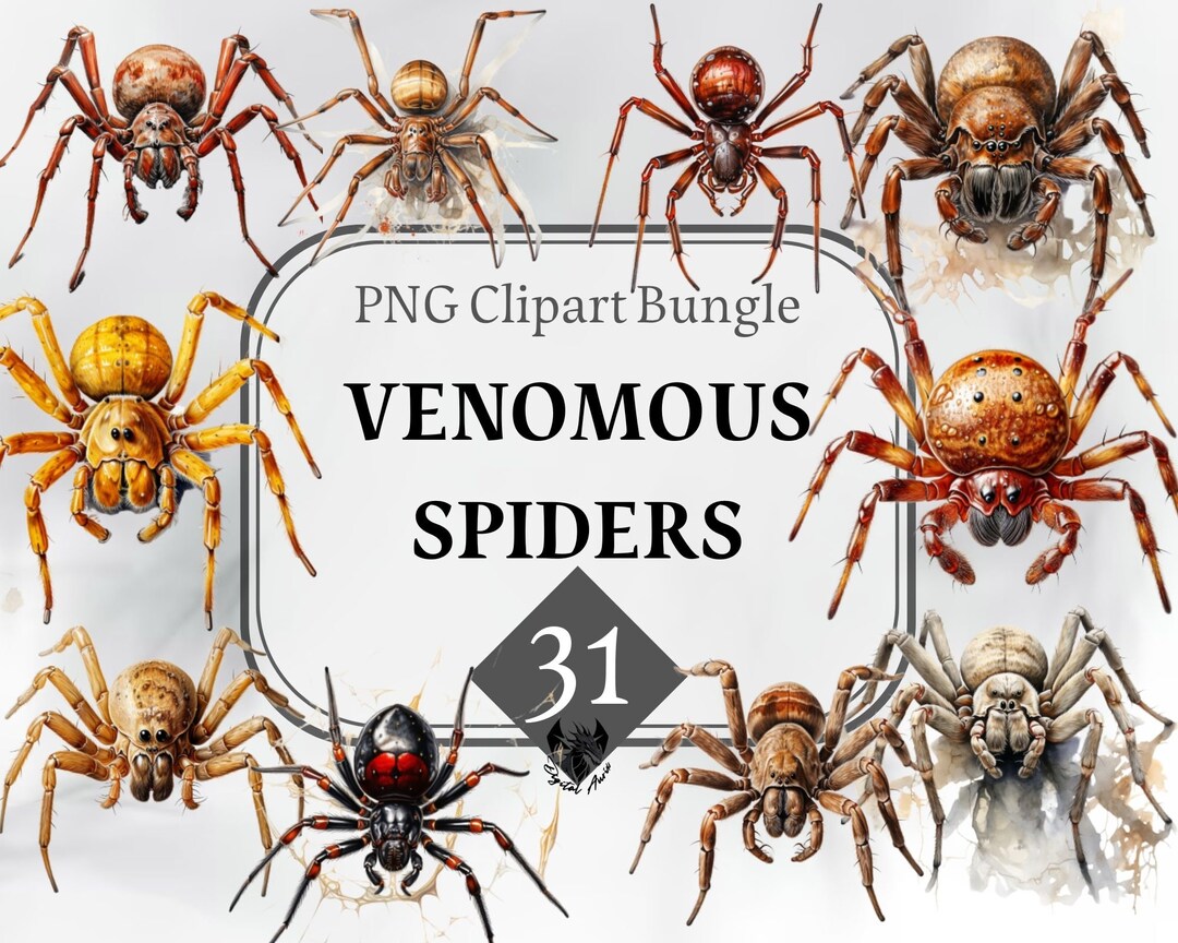 Venomus Spider Clipart, Spider Illustrations Digital Arachnid ...