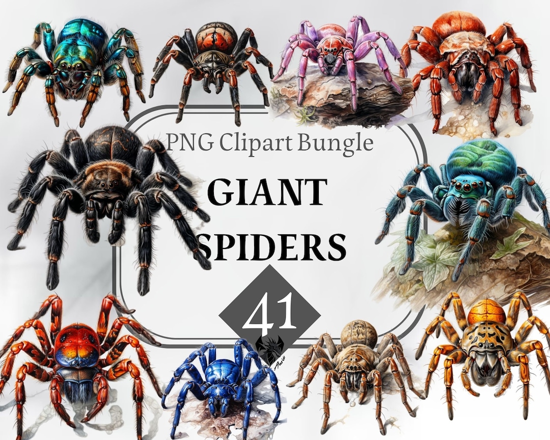 Giant Spider Clipart, Spider Illustrations Digital Arachnid ...