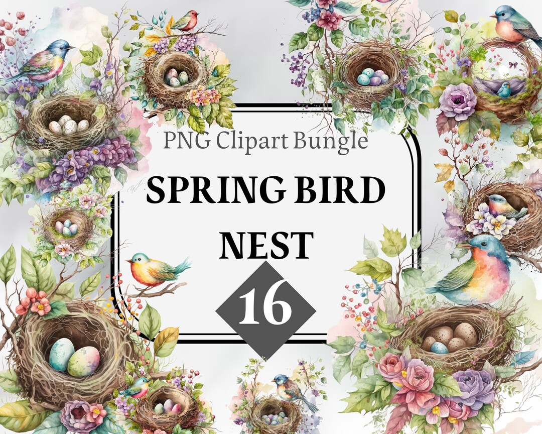 Watercolor Nests Clipart, Springtime, Cute, Bird Nests, Flowers ...